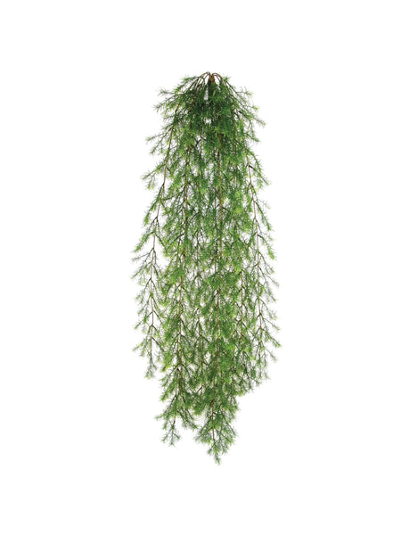 46in SPRINGERII VINE – Longs Florist Supply