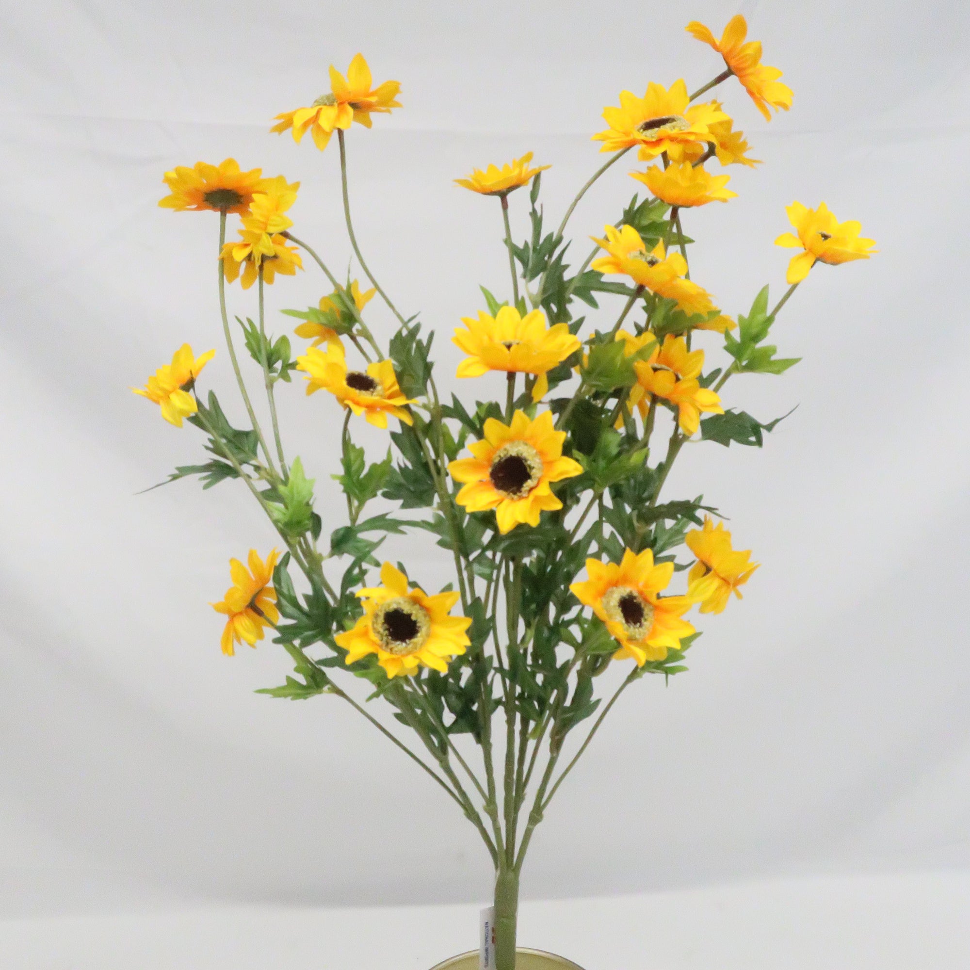 GARDEN VIKING DAISY BUSH X20 GOLD EACH – Longs Florist Supply