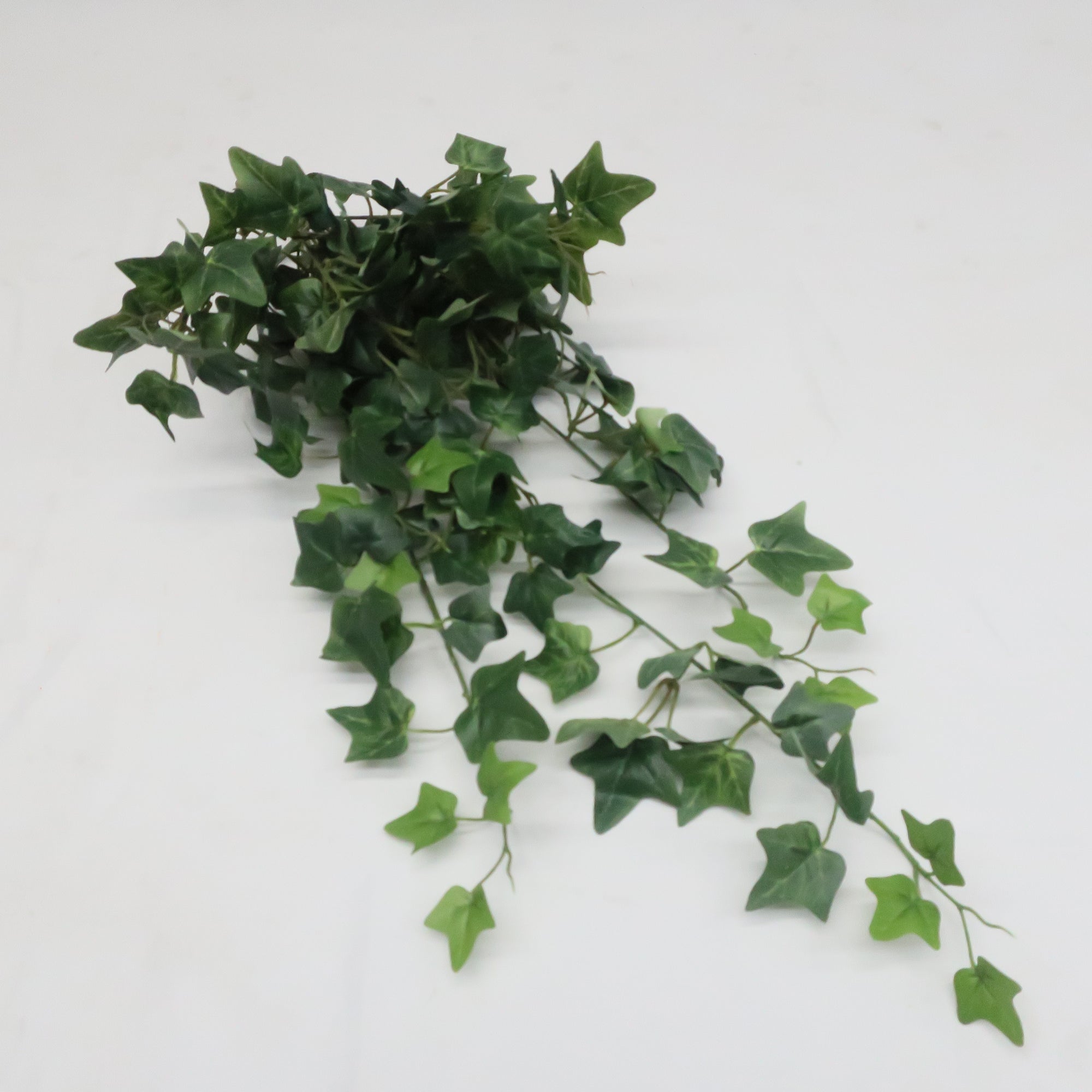 MINI ENGLISH IVY BUSH X204 LVS GREEN – Longs Florist Supply